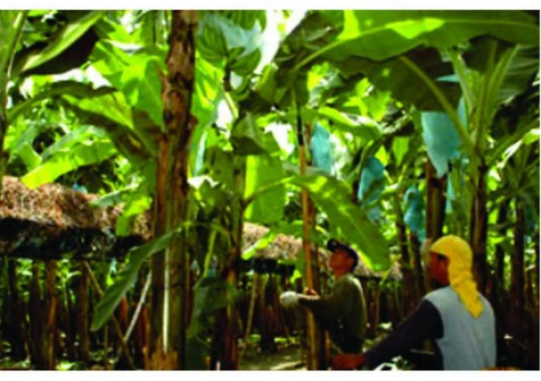 Official Statement of TADECO on Speaker Alvarez's complaint