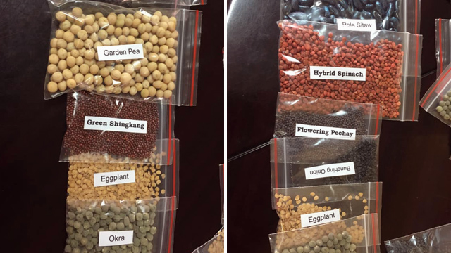 LGU in Baguio to Distribute Vegetable Seeds » Trending.ph